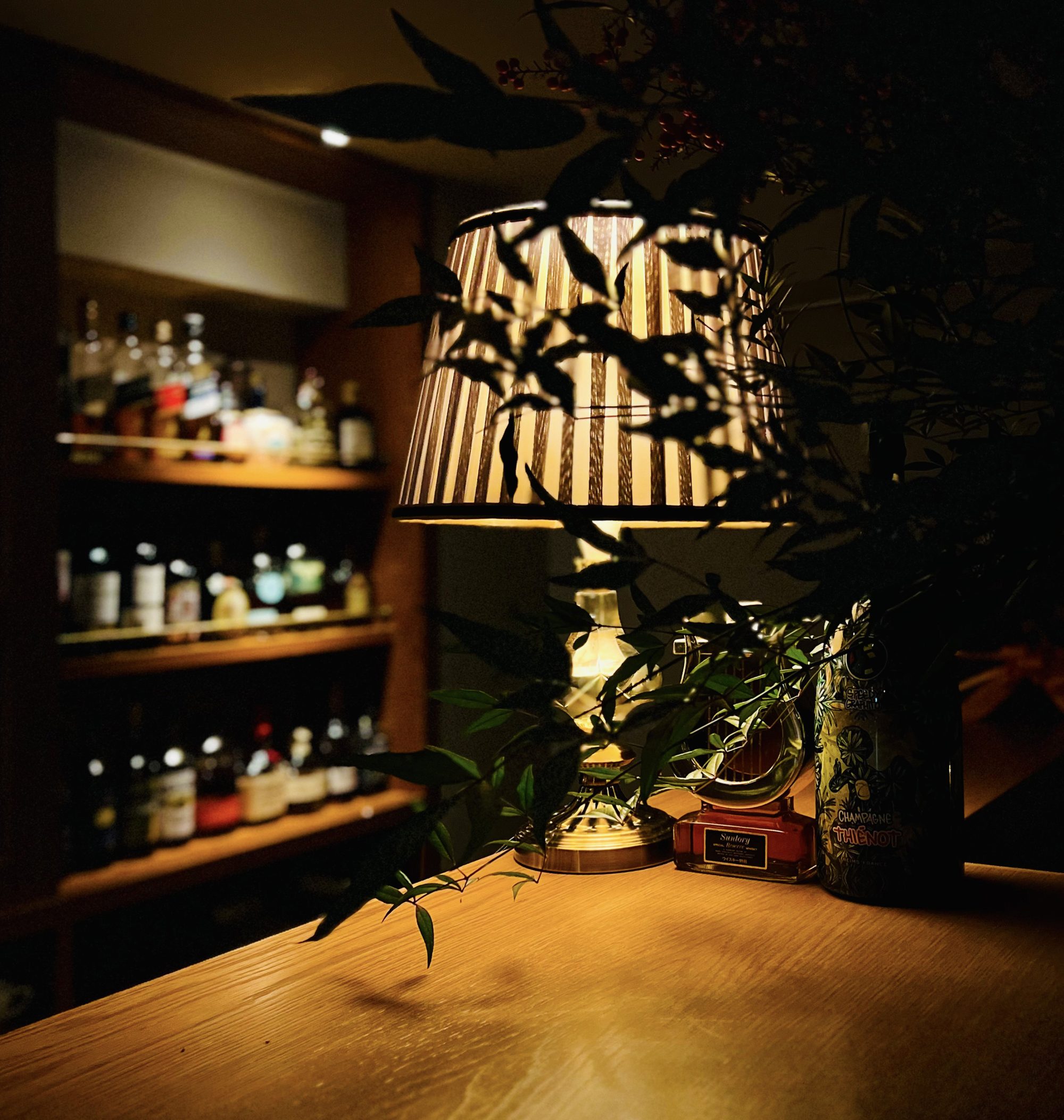 BRANCA DESIGN. – ブランカデザイン